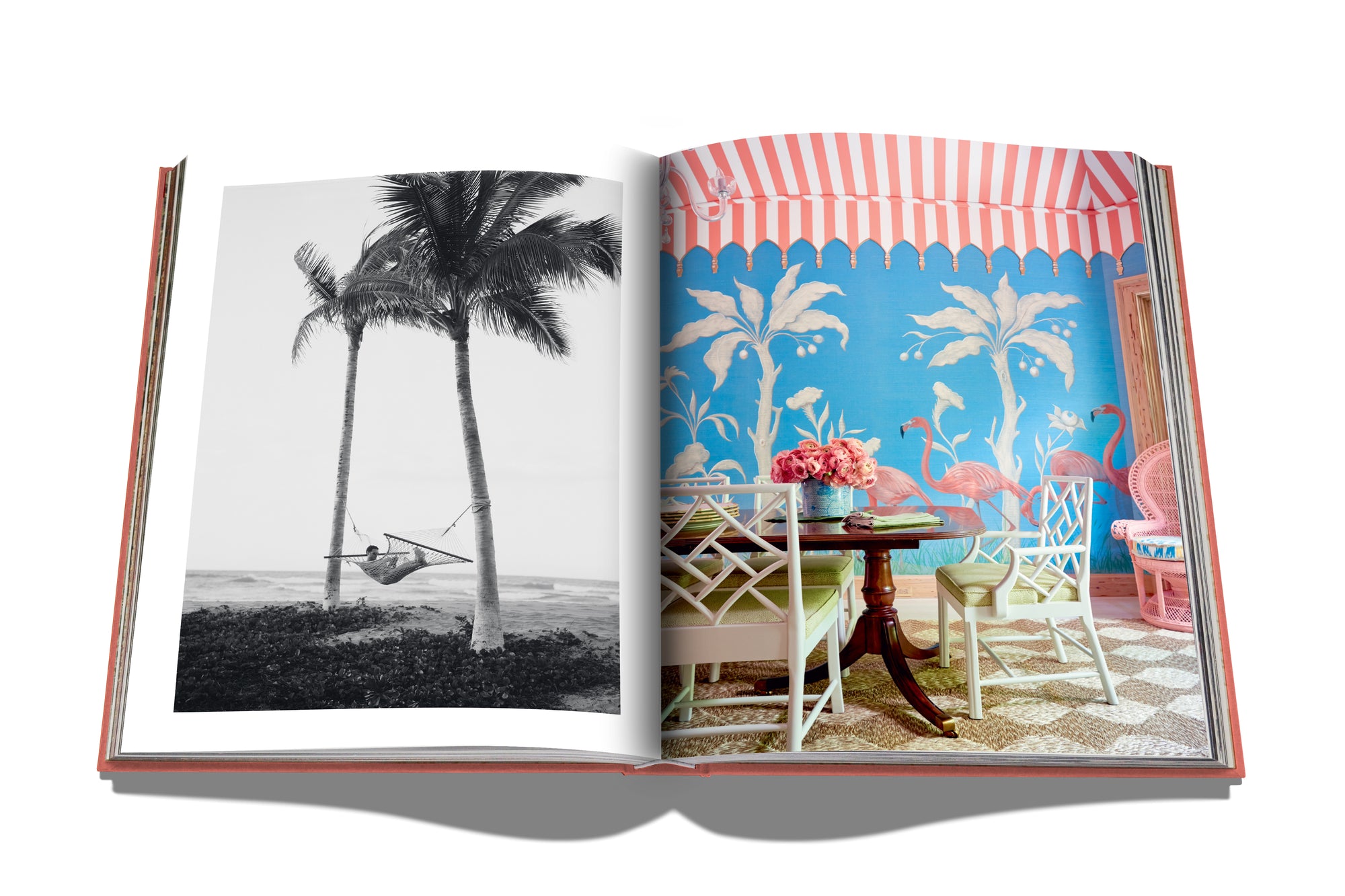 Palm Beach – Humble Nature